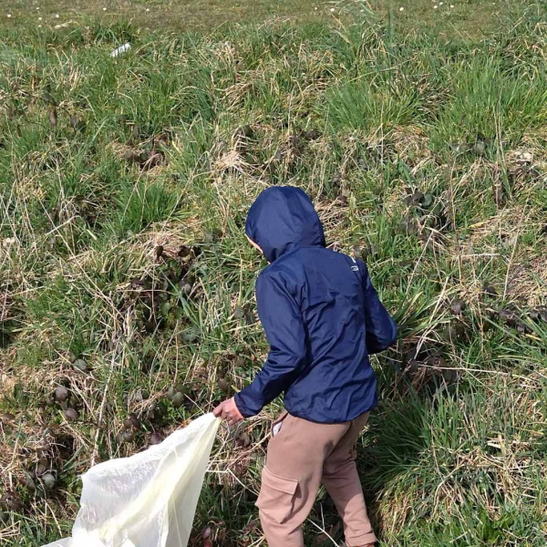 La Marche Verte : Une mobilisation citoyenne des élèves pour un village plus propre - Collège ...